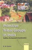 Buy Primitive Tribal Groups in India: Tradition, Development ...
