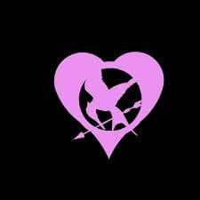 Amazon.com: Mockingjay Vinyl Decal Sticker|Pink|Cars Trucks SUV Laptops ...