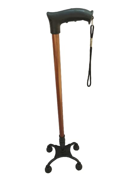 Shakuntla 4 Leg Walking Stick Height Adjustable Powder Coted Stick ...