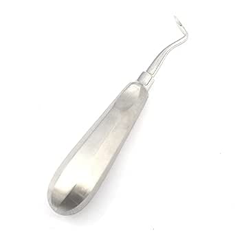 Heidbrink Root Tip Pick Elevator - H1 Straight Dental Tool (Silver ...