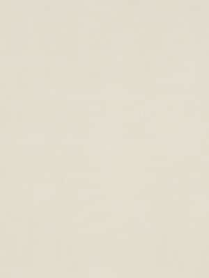 Amazon.com: Sample - NOVASUEDE PUTTY