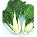 PAK CHOI - Dwarf Canton White - Chinese - 300 seeds : Amazon.co.uk: Garden