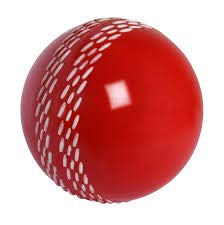 Buy Cricket Poly Soft Ball (1Pc) Online at Low Prices in India - Amazon.in