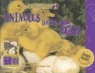 Animals Hatch from Eggs (How & Why): Pascoe, Elaine, Kuhn, Dwight ...