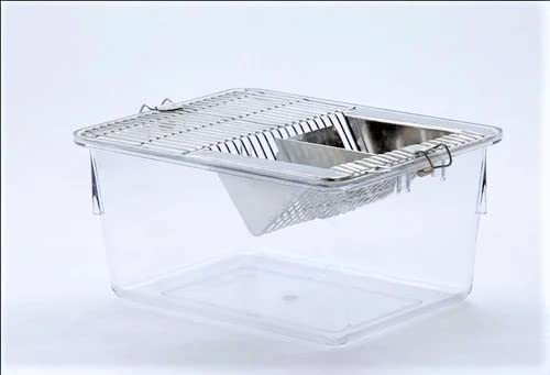 Polypropylene (Transparent) Rat/Mice Cages Animal Cages, Mice Cages ...