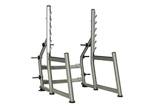 Matrix Squat Rack : Amazon.in: Sports, Fitness & Outdoors
