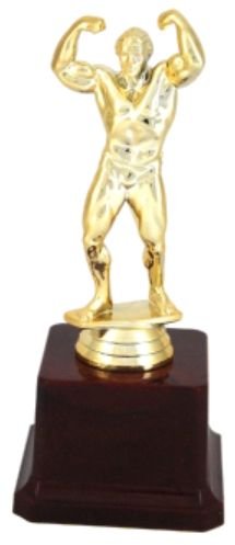 TROPHY BAZAAR Best Body Builder Trophy : Amazon.in: Sports, Fitness ...