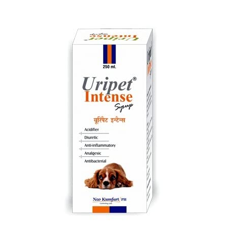 Buy URIPET Intense 250 ml Online at Low Prices in India - Amazon.in