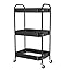 PNVXNUS 3 Tier Rolling Metal Storage Carts with Wheels,Multi Functional ...