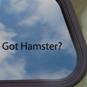 Amazon.com: Got Hamster? Black Decal Furry Animal Gerbil Car Sticker ...