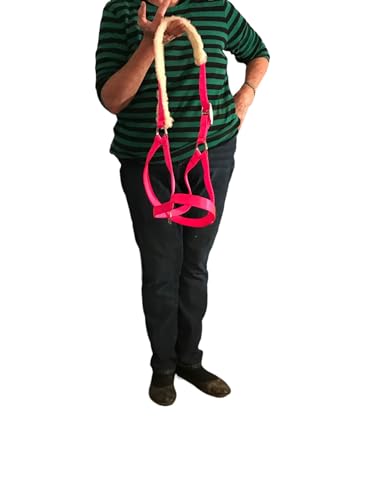 Amazon.com: Padded Cattle Halters Bull Cow Yearling Calf Newborn (Cow ...