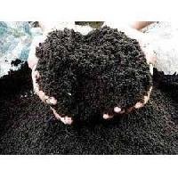 ORGRO Compost Pack of 2 KG : Amazon.in: Garden & Outdoors