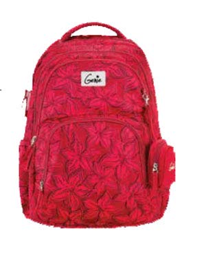 Buy Genie Spring 19 Pink School Backpack Collection at Amazon.in