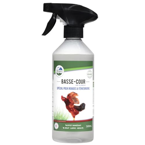 Comment lutter contre les poux chez les poules : traitement et prévention