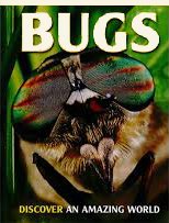 Bugs Discover an Amazing World : Amazon.co.uk: Books