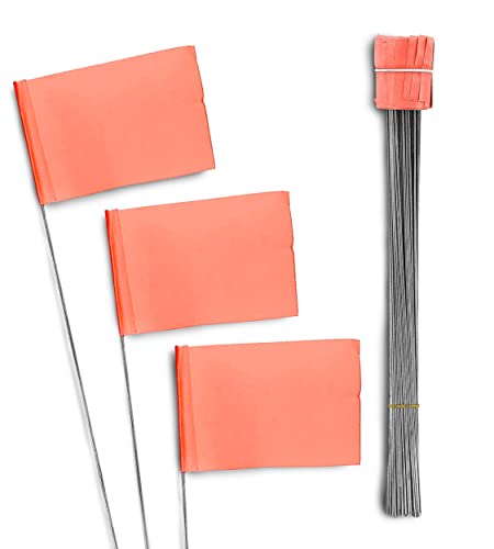 Snapklik.com : AdirPro Marking Flags 100 Pack - 2x3 Lawn Flags - Marker ...