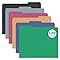 Amazon.com : File Folder, PANDRI 120 Pack Colored File Folder, 1/3 Cut ...