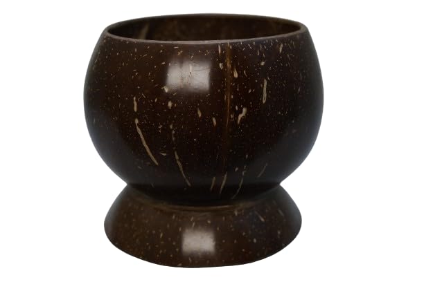 Avartanam India Natural Coconut Shell Table Organizer ya Bathroom ...