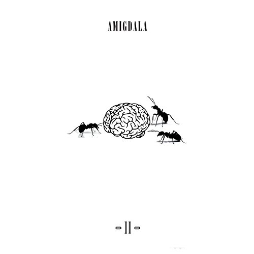 Play II by Amígdala on Amazon Music