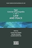 【発売日：2026年07月28日】・ブランド:Edward Elgar Publishing・製造元:Edward Elgar Pub