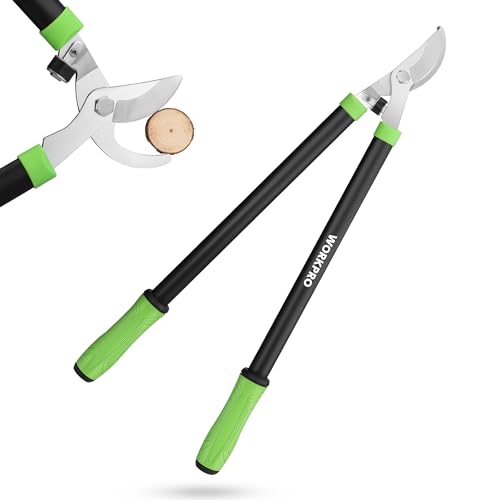 Tree Loppers – The 15 best products compared