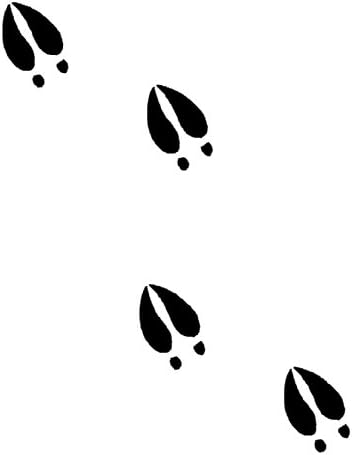 Amazon.com: Designer Signs Deer Track Decals - Set of 12 : Sports ...