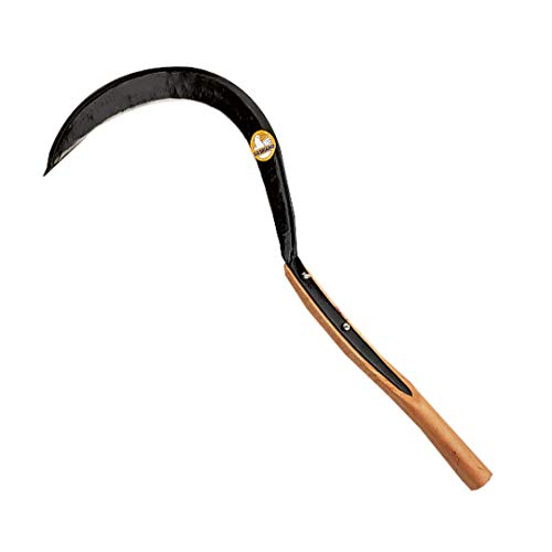 Falcetto → Classifica dei Più Venduti Online nel 2025