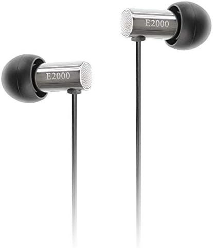 Amazon.com: Final E2000 FI-E2DALS in-Ear Earphones, Matte Silver : Electronics