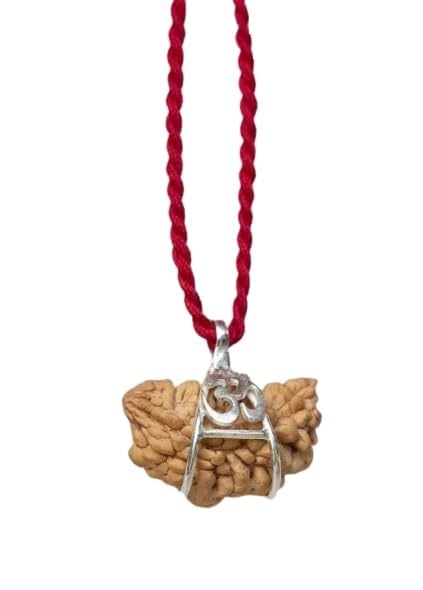 1 Mukhi Kaju Dana Rudraksha Original Certified Religious Heritage Ek ...