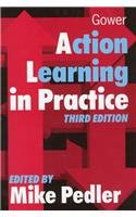 Action Learning in Practice: Buy Online at Best Price in Egypt - Souq is now Amazon.eg
