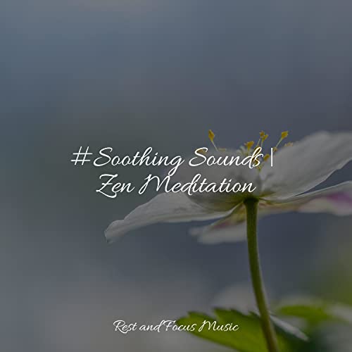 Écouter #Soothing Sounds | Zen Meditation de The Relaxation Principle ...