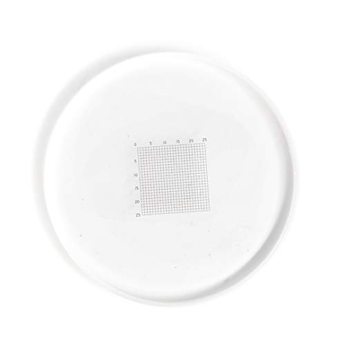 0.2 mm Net Shaped Microscope Eyepiece Micrometer net Shaped Eyepiece ...