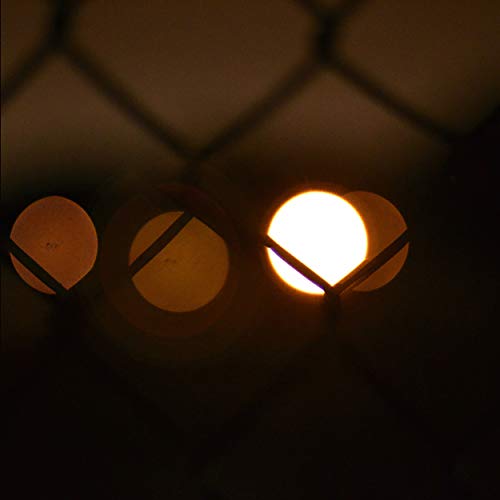 Amazon.co.jp: Vibrant Forms : Fluxion: デジタルミュージック