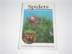 Spiders: Pop-Up (Nature Pop-Ups): Kendall, Cindy: 9780803712782: Amazon ...