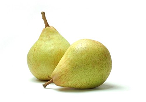 Fresh Produce Pears Nakh 500 GMS : Amazon.in: Grocery & Gourmet Foods