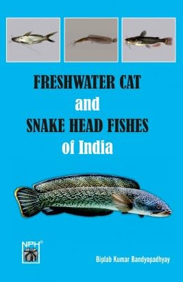 Amazon.in: Buy Freshwater Cat And Snakehead Fishes Of India ...