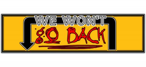 Amazon.com: We Won't Go Back Pro Choice Roe V Wade Protest March Vinyl ...