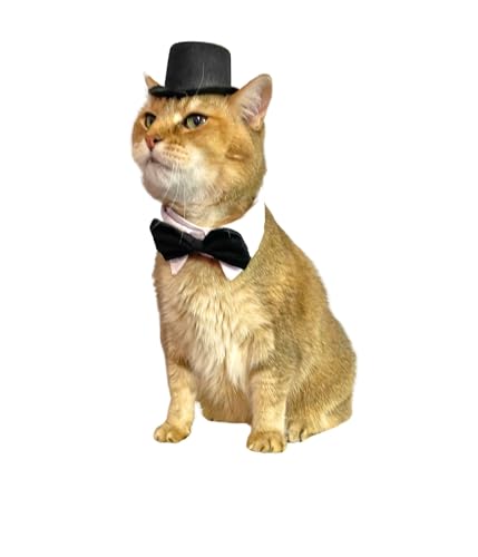 Amazon.com: Black top hat for cat or small dog - Wedding - With Bow Tie ...