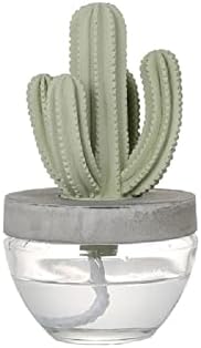 Amazon.co.jp: ダルトン(Dulton) カクタス フレグランス ディフューザー B Ocean Breeze G675-824B-OB : ドラッグストア