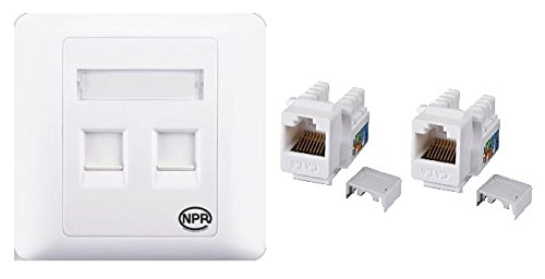 Dual Port Face Plate with CAT6 Keystone Jacks : Amazon.in: Computers ...