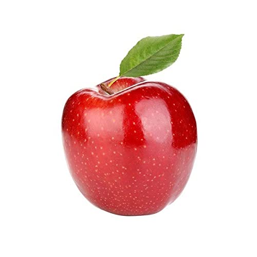 Amazon.com: Bristol Farms, Organic Diva Apples, 16 Ounce : Grocery ...