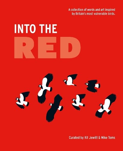 Into the Red: Amazon.co.uk: Jewitt, Kit, Toms, Mike: 9781912642380: Books