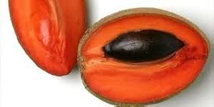 Amazon.com: Fresh Mamey (Set of 2) : Baby