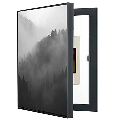 Amazon.com: ZJYSMH Fuse Box Cover Cabinet, Decorative Electric Meter ...