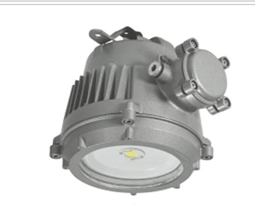 Buy Crompton ISI Flame Proof 40W LED Well Glass Fitting, Wall Mounting ...
