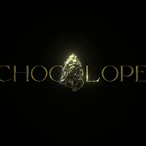 Chocolope – Die 16 besten Produkte im Vergleich & Angebote ...