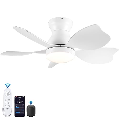 Best WiFi Ceiling Fans for Smart Homes