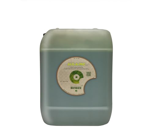 Alg A Mic – Die 15 besten Produkte im Vergleich & Angebote - aktualisiert: April 2024