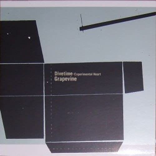 Amazon.com: Divetime [12 inch Analog]: CDs & Vinyl