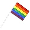 Amazon.com: Small Rainbow Hand Held Flag Stick - LGBTQ Pride Party ...